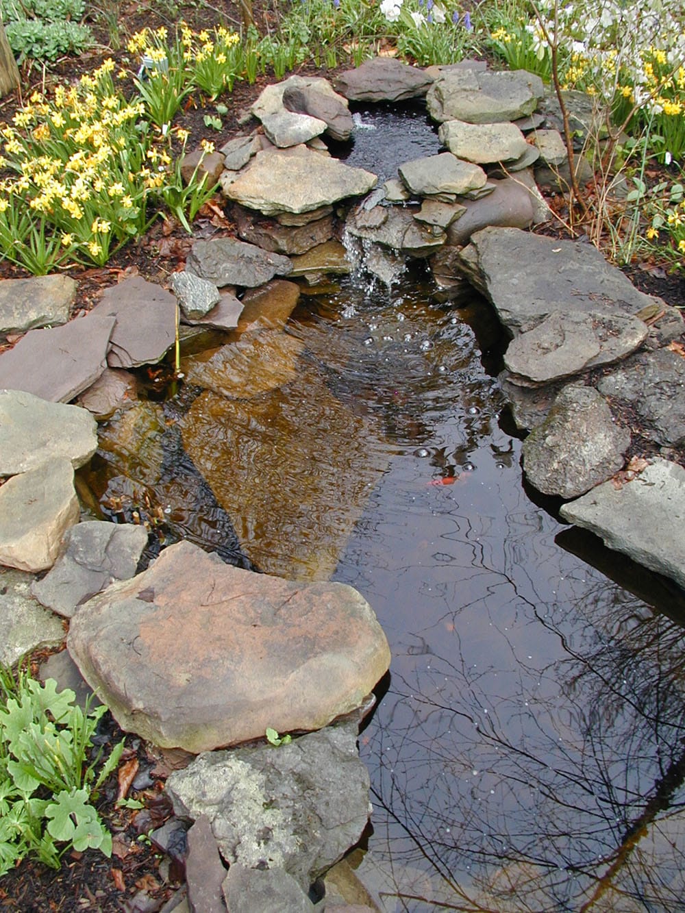 Garden, Ponds & Waterfalls in Chester County - Naturescapes, Paoli PA Garden, Ponds & Waterfalls in Chester County - Naturescapes, Paoli PA
