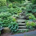 Main Line Landscape Design | Naturescapes Landscaping