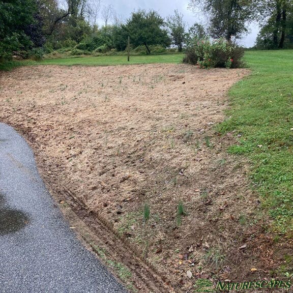Transforming Dead Grassy Bank in West Chester, PA | Naturescapes